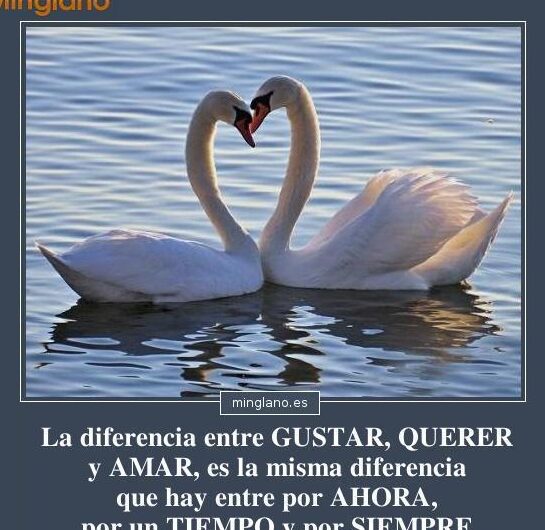 Qu Diferencia Hay Entre Querer Y Amar Qu Diferencia Hay Entre Querer Y Amar