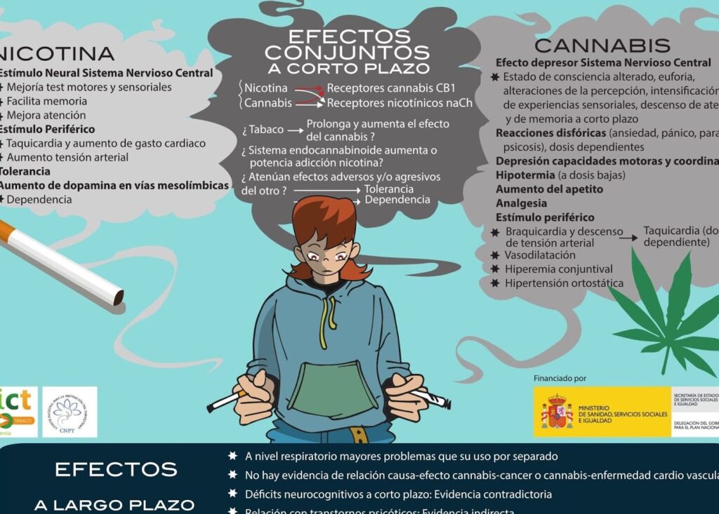 Efectos de los porros a largo plazo