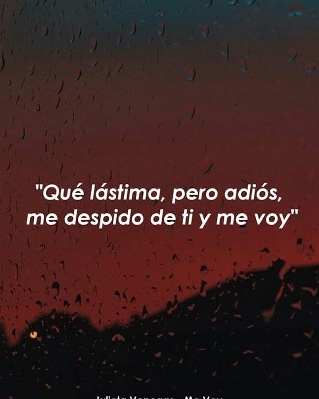 Me despido de ti y me voy.