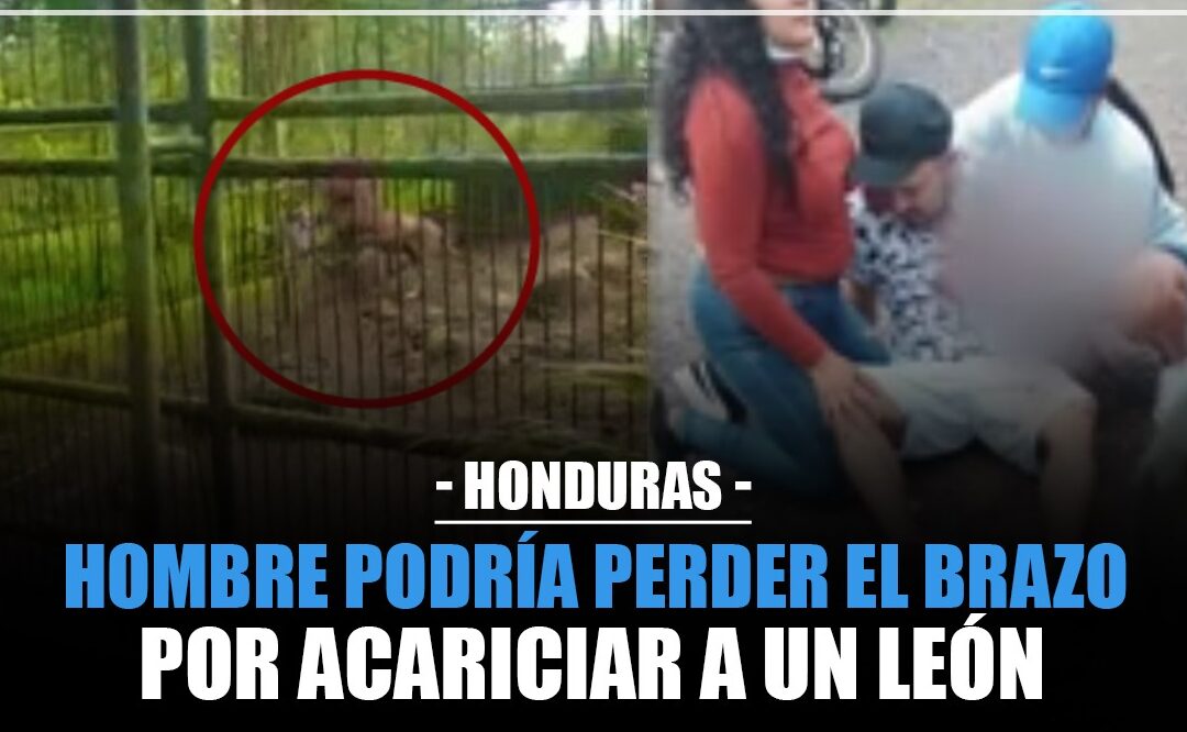 Tocar el brazo a un hombre